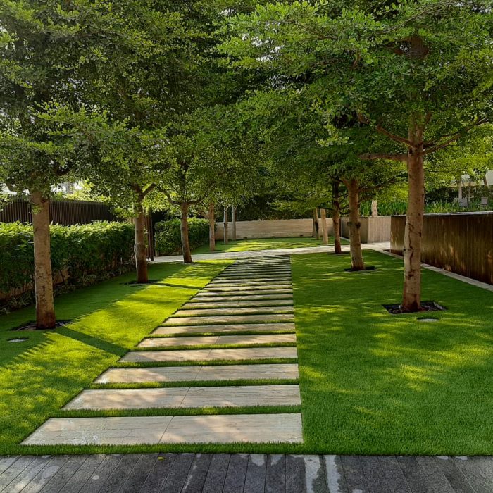 Landscaping Dubai, Abu Dhabi | Landscaping Company Dubai, Abu Dhabi