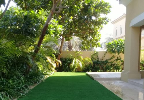 Landscaping Dubai, Abu Dhabi | Landscaping Company Dubai, Abu Dhabi