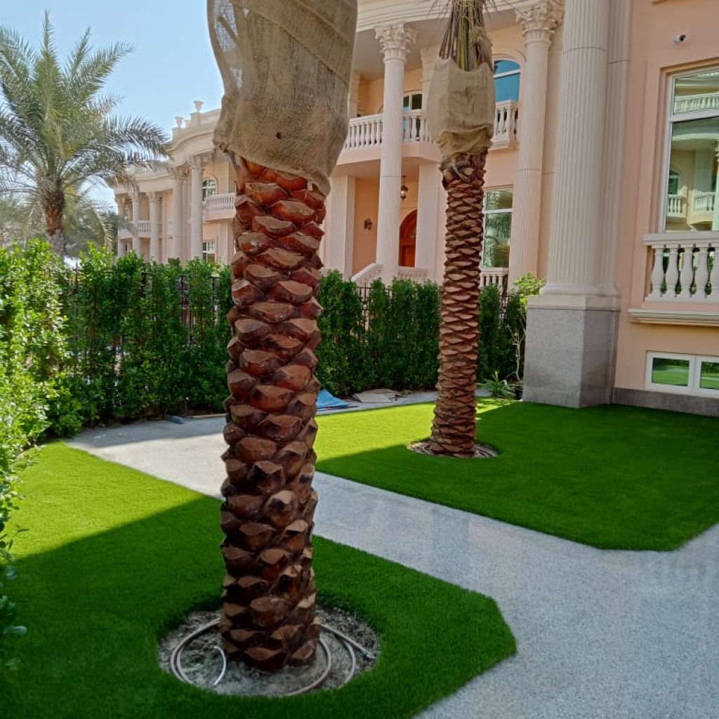 Landscaping Dubai, Abu Dhabi | Landscaping Company Dubai, Abu Dhabi